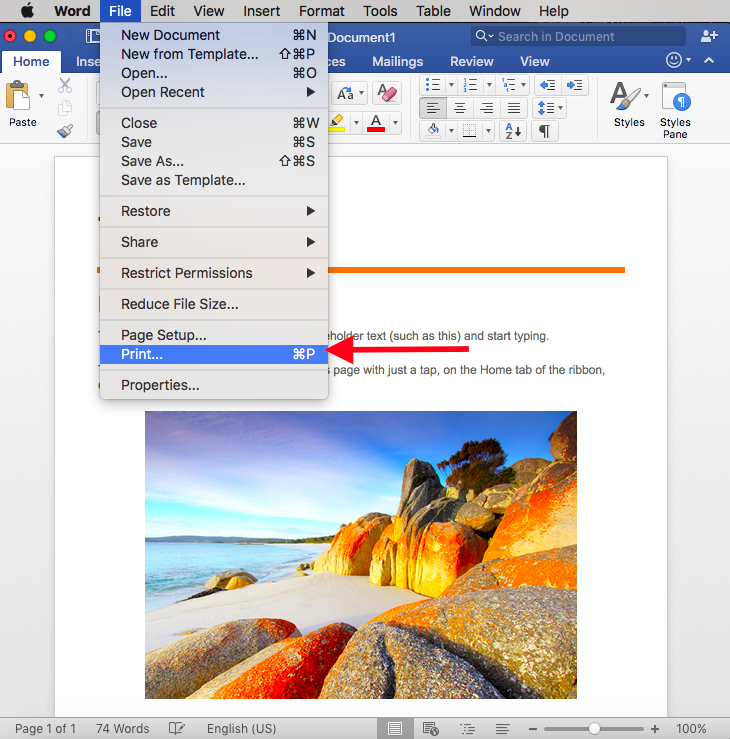 Printing Basics – Newman Business Solutions